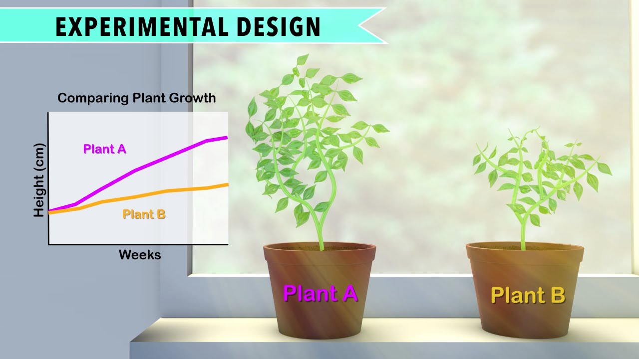 Biology: Controlled Experiments