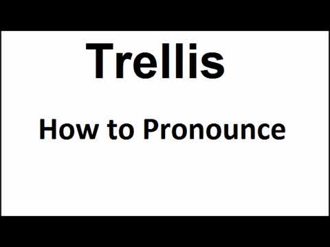 How to pronounce Trellis||How to say Trellis||Trellis Pronunciation||ABDictionary