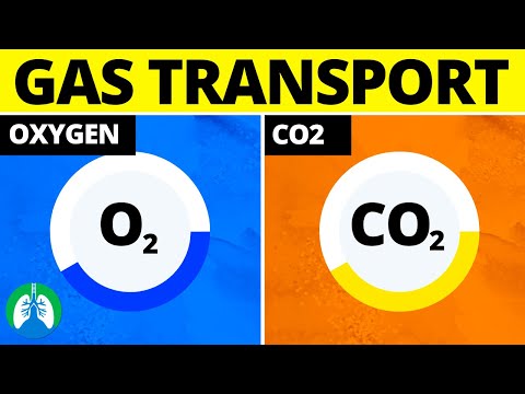 Transport of Oxygen and Carbon Dioxide (Quick Medical Overview)