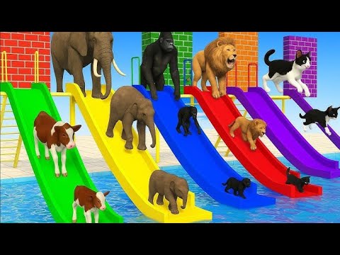 ||🐯ANIMAL CARTOON GAME 🐯||ALL ANIMAL 🐻#animals #cartoon #gaming