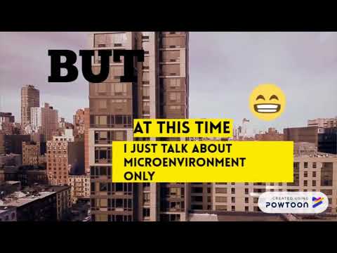 What is Microenvironment ?