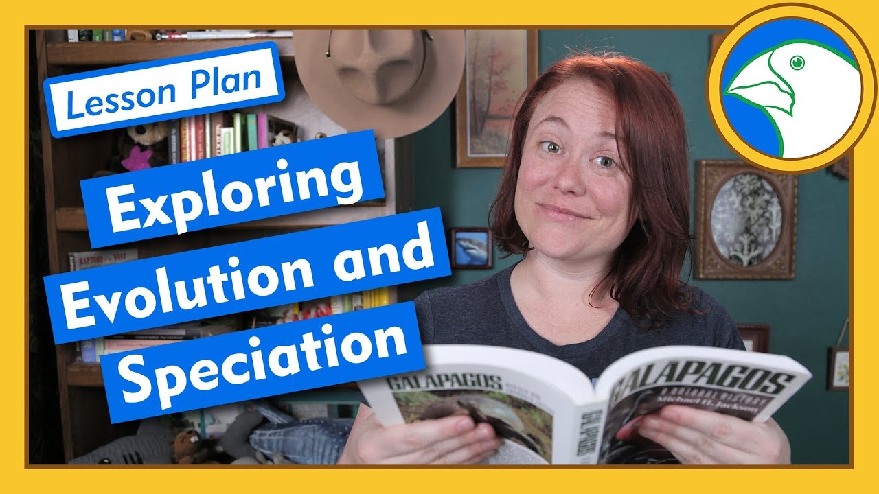 Exploring Evolution and Speciation - Lesson Plan