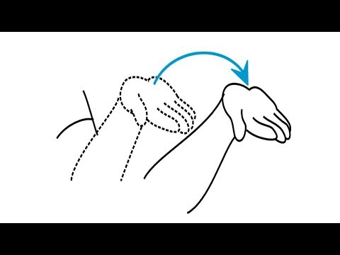American Sign Language ASL Video Dictionary - on the spot