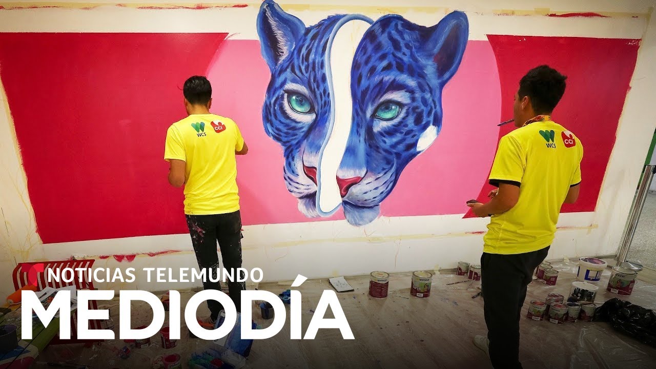 Mural en 3D busca alertar sobre la compraventa de animales | Noticias Telemundo