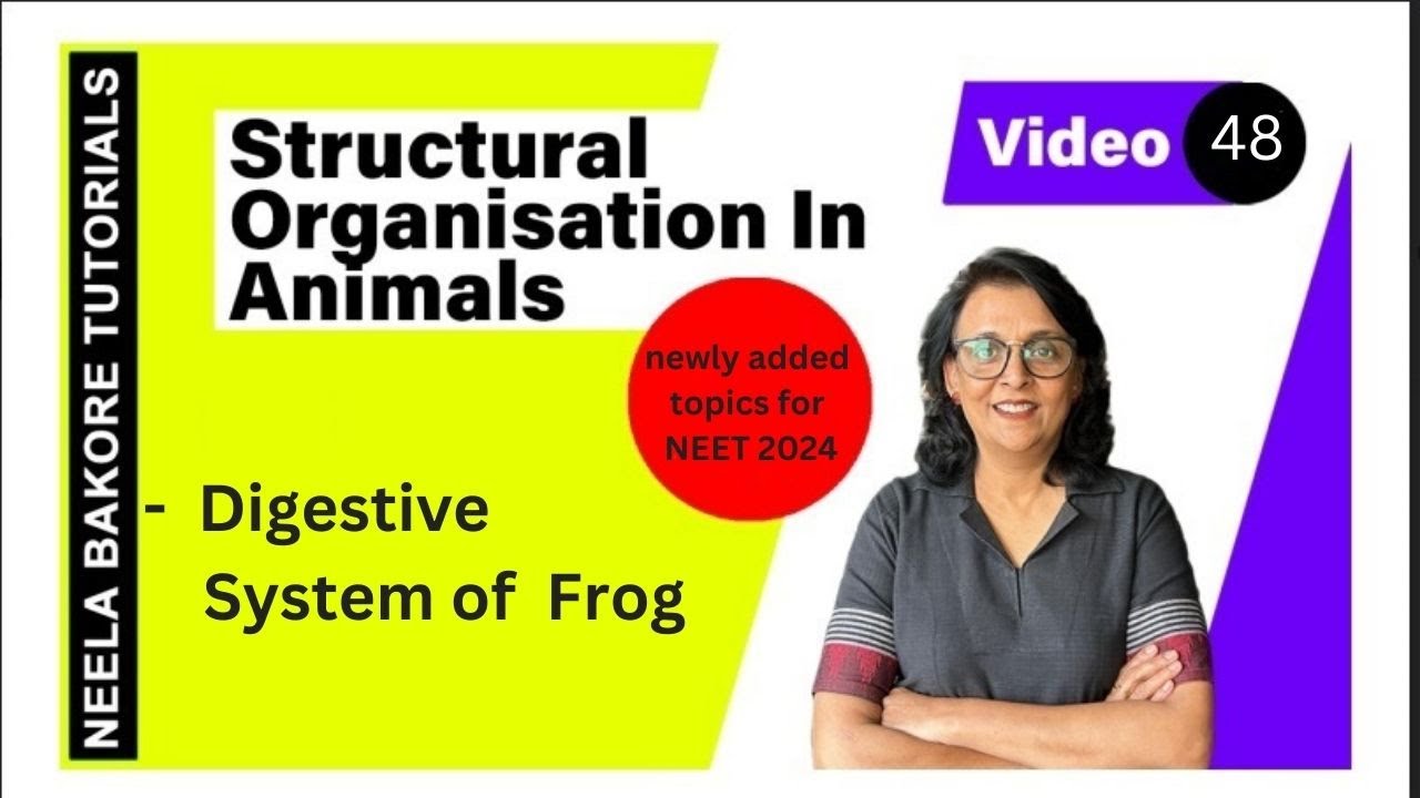 Digestive System of Frog | NEET 2024 | Neela Bakore Tutorials