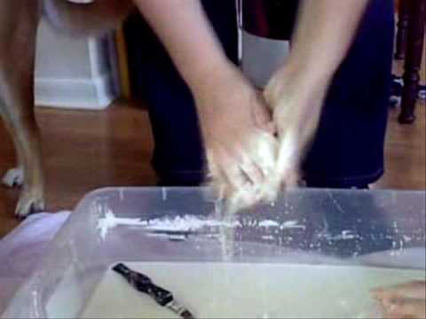 Starch-Solid or liquid???? | Science@Interhigh