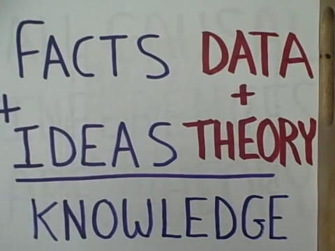 Theory in science