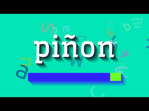 How to say "piñon"! (High Quality Voices)
