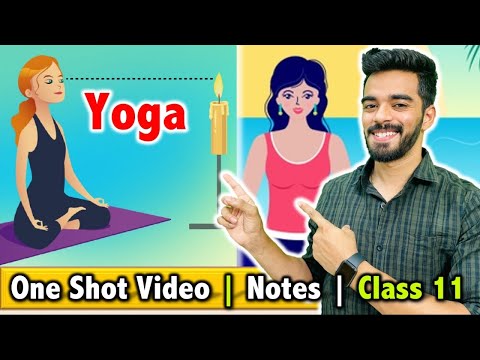 Yoga | Class 11 | Unit - 3 | FREE Notes with Imp Question 🔥
