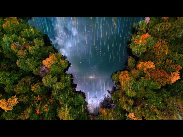 Offerings - Vita Anima