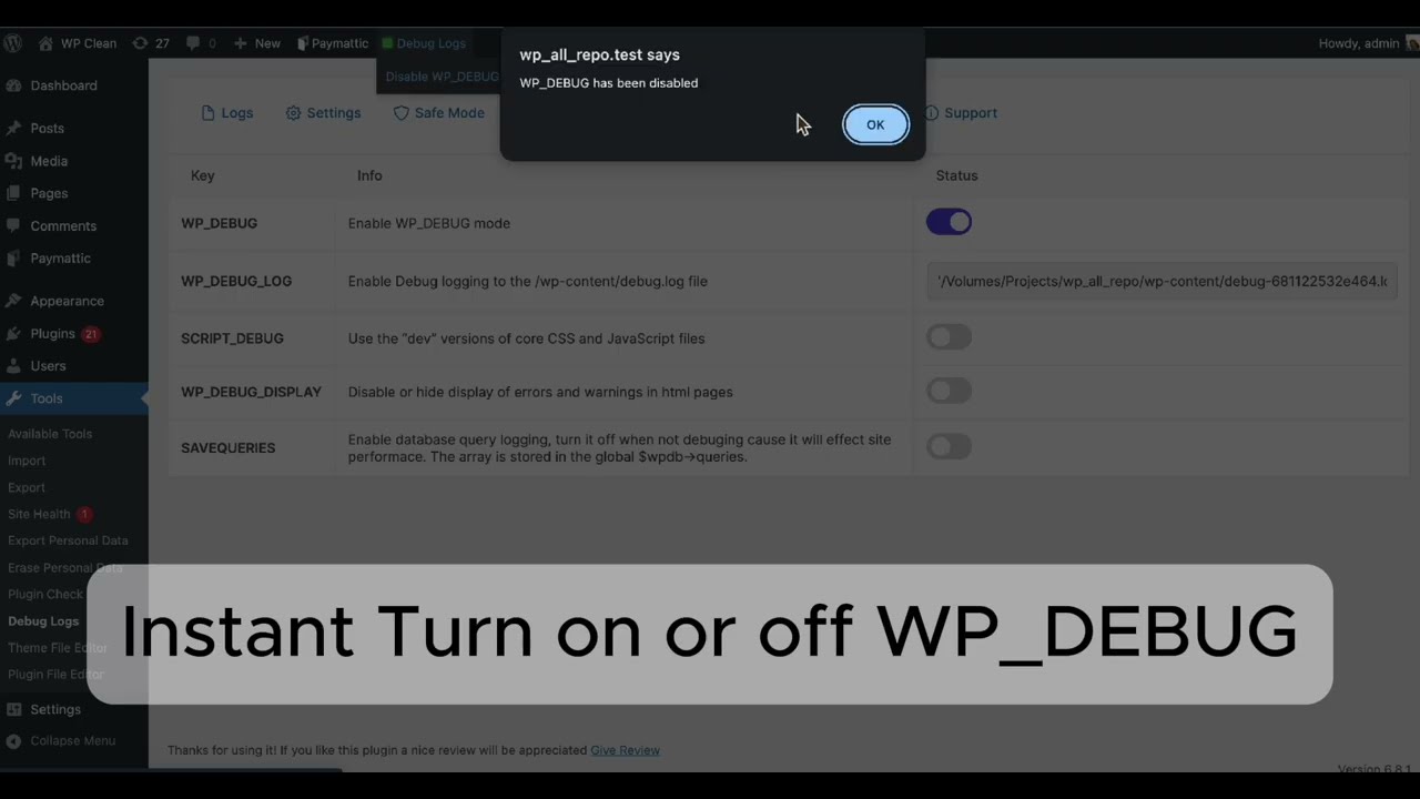 WordPres Debug Log Manager Tool
