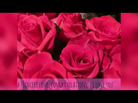 The Meaning of Red roses