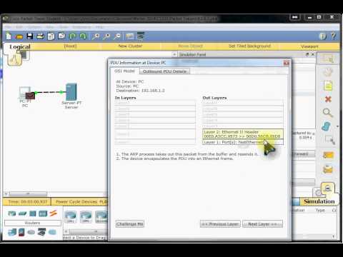 Cisco Packet Tracer Activity 4.1.6.2: UDP and TCP Port Numbers