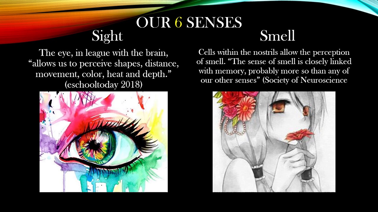 Perception and Reality Power Point Presentation