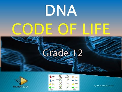 DNA CODE OF LIFE | LIFE SCIENCES GRADE 12| TERM 1, 2025 | M.SAIDI | ThunderEDUC