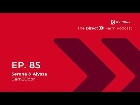 #085 Looking at Logos Let's Discuss the Design Process