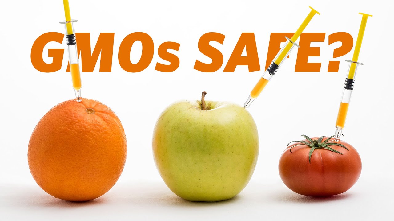 Are GMO Foods Safe? | Ars Technica