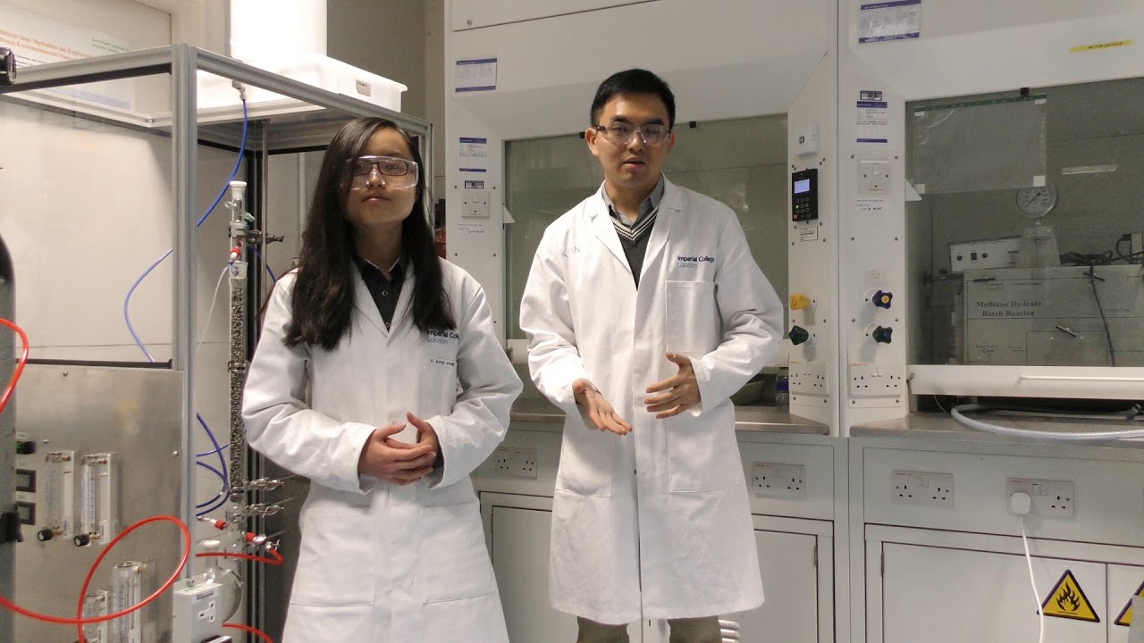 3   Absorption Process