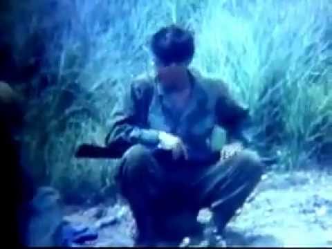 Operations of 1/61 Inf Bde, Fifth Mechanized Infantry Division along the Demilitarized Zone Vietnam