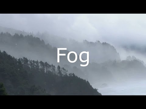 Fog