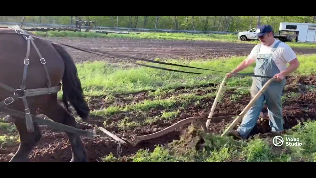 Plowing with a single horse. Short.