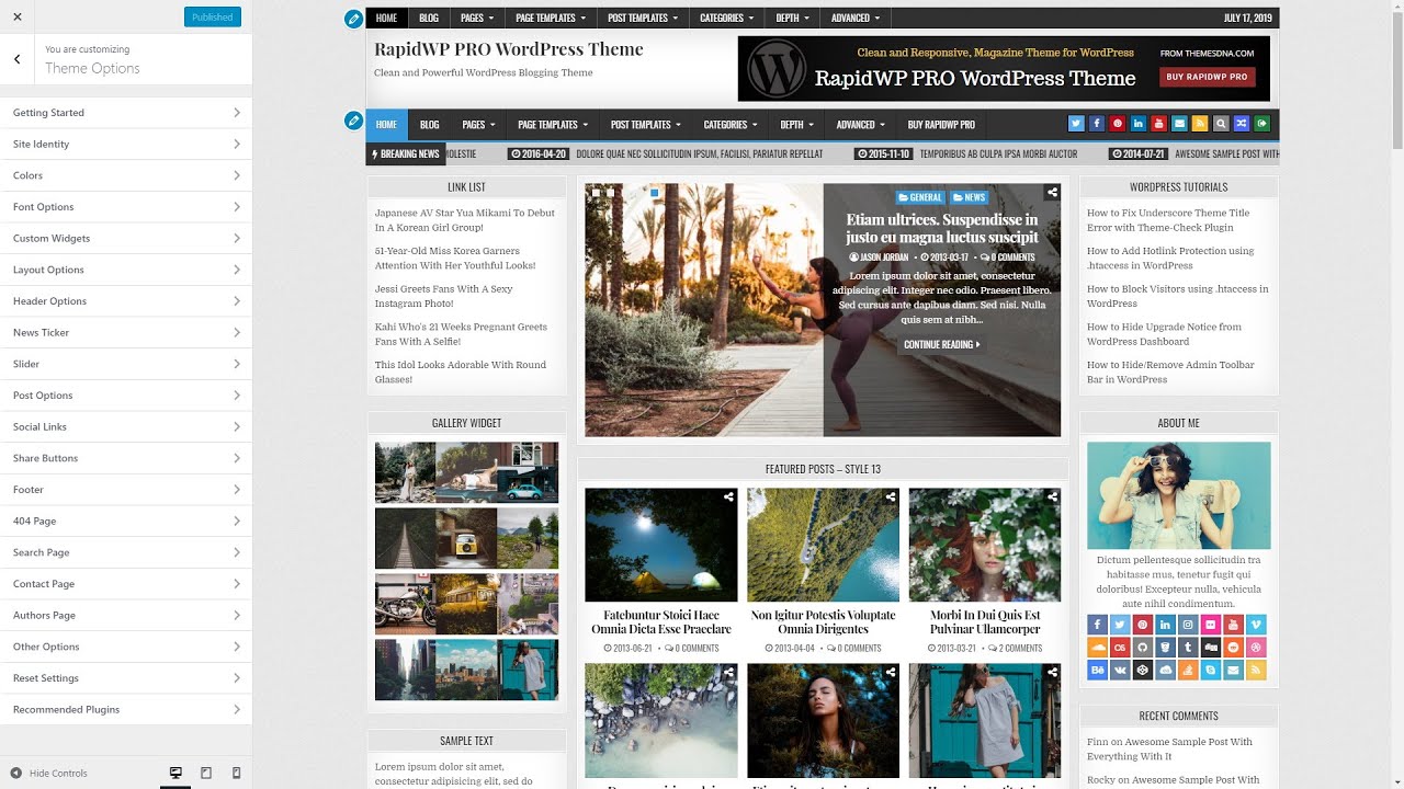 Customizer Theme Options - RapidWP PRO WordPress Theme