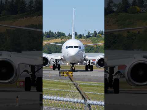 Avelo Airlines 737-800 Taxi At KBFI