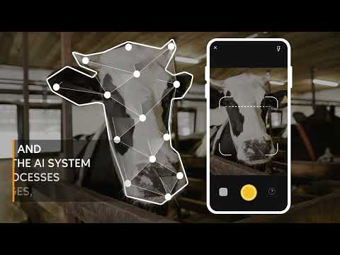 Snap Animal App - Artificial intelligence app for contactless animal identification.