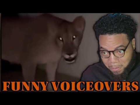IMPOSSIBLE TRY NOT TO LAUGH TO A JOHN HUNT VOICEOVER COMPILATION