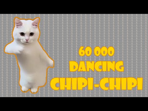 Dancing Cat from 1 to 60 000.