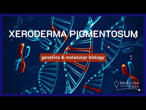 The Genetics behind Xeroderma Pigmentosum (+ NOTES)