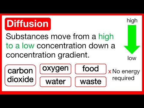 What is DIFFUSION? 🤔 | Easiest explanation in 1 minute | Easy learning video