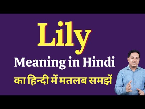 Lily meaning in Hindi | Lily ka kya matlab hota hai | Spoken English Class