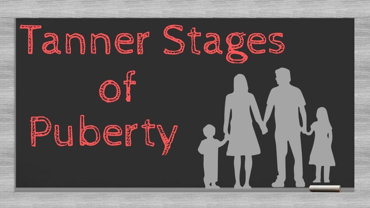 Tanner Stages of Puberty