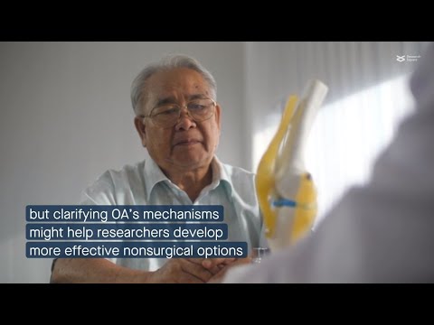 Role of the JAK2/STAT3 pathway in osteoarthritis