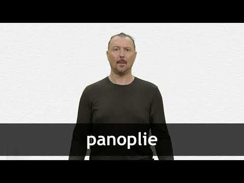 English Translation of “PANOPLIE” | Collins French-English Dictionary