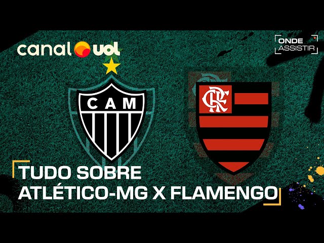 Jogo do Flamengo hoje: horário e onde assistir ao vivo