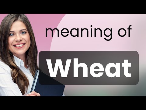 Wheat | meaning of WHEAT