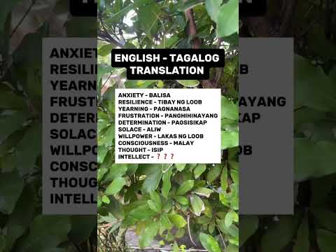 English tagalog translation #learning #translation #vocabulary #dictionary #english