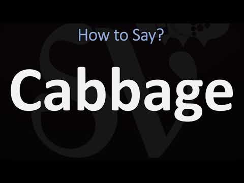 How to Pronounce Cabbage? (CORRECTLY)