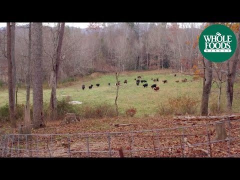Hickory Nut Gap Farm -- Fairview, North Carolina | Meet the Ranchers | Whole Foods Market