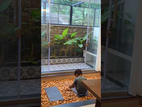 Courtyard design  | kerala tropical house | kerala house design.