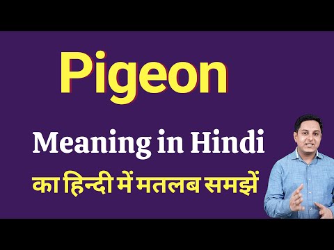 Pigeon meaning in Hindi | Pigeon ka matlab kya hota hai | Spoken English Class