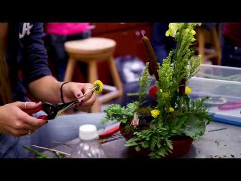 Benz School of Floral Design Principles of Floral Design Certification
