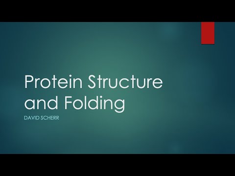 Protein Structures and Folding