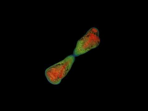 Dying stars' cocoons could be new source of gravitational waves