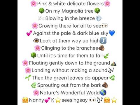 Magnolia Flowers Tree Nature’s Wonderful World Poems & Songs Nanny K seesingsay