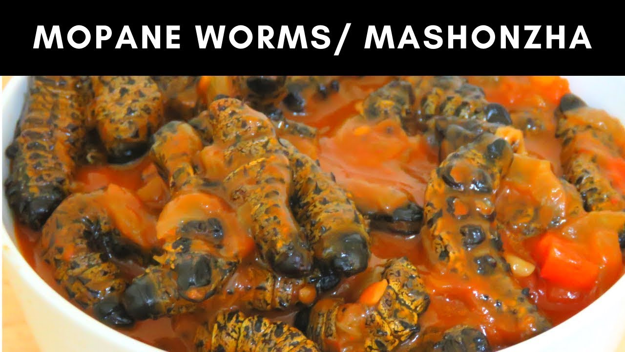 Masonja / Mopani / Mopane Worm Recipes – The Best African Dried Moth ...
