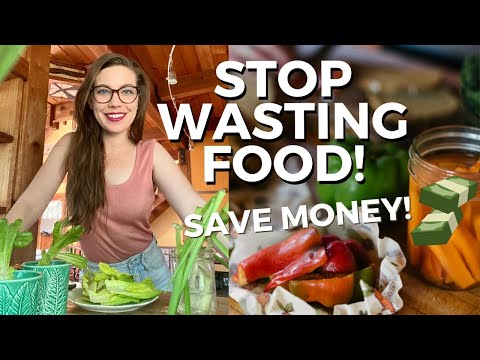 6 Ways to Avoid Food Waste and Save Money!