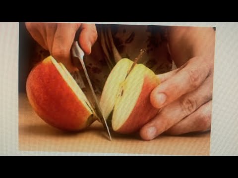 Root: Sect (to cut or separate)